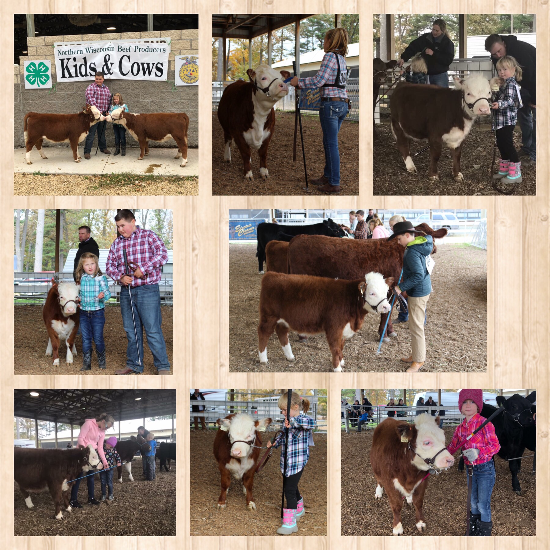 Kids & Cows – Sandy Acres